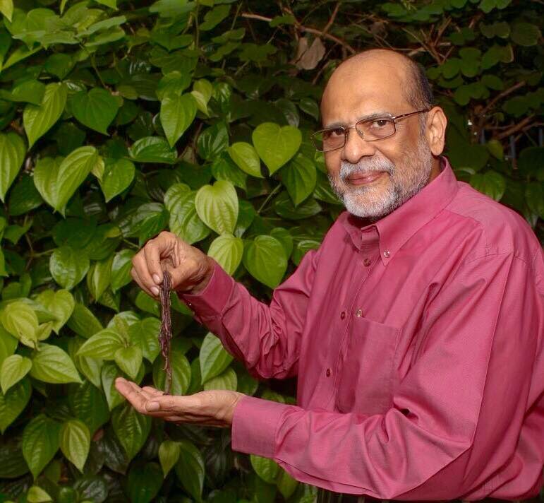 Sultan Ahmed Ismail - Alchetron, The Free Social Encyclopedia